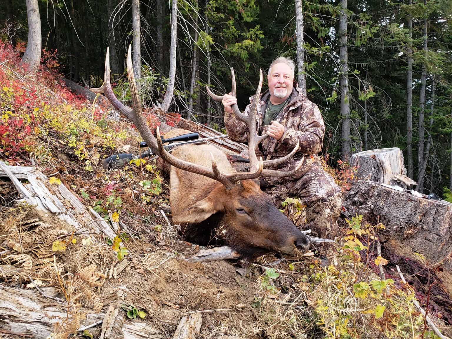 Guided Elk Hunts - Shattuck Creek Outfitters